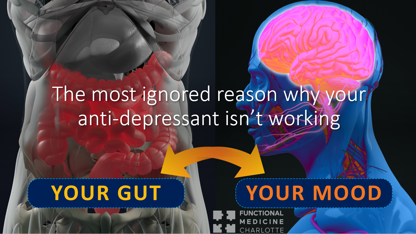 Depression - Gut inflammation, brain histamine, serotonin deficiency ...